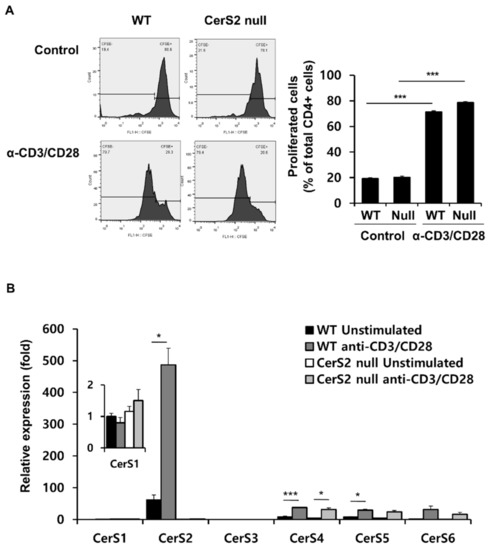 Ceramide Synthase 2 Null Mice Are Protected from Ovalbumin-Induced ...