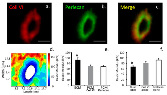 Perlecan in Pericellular Mechanosensory Cell-Matrix Communication ...