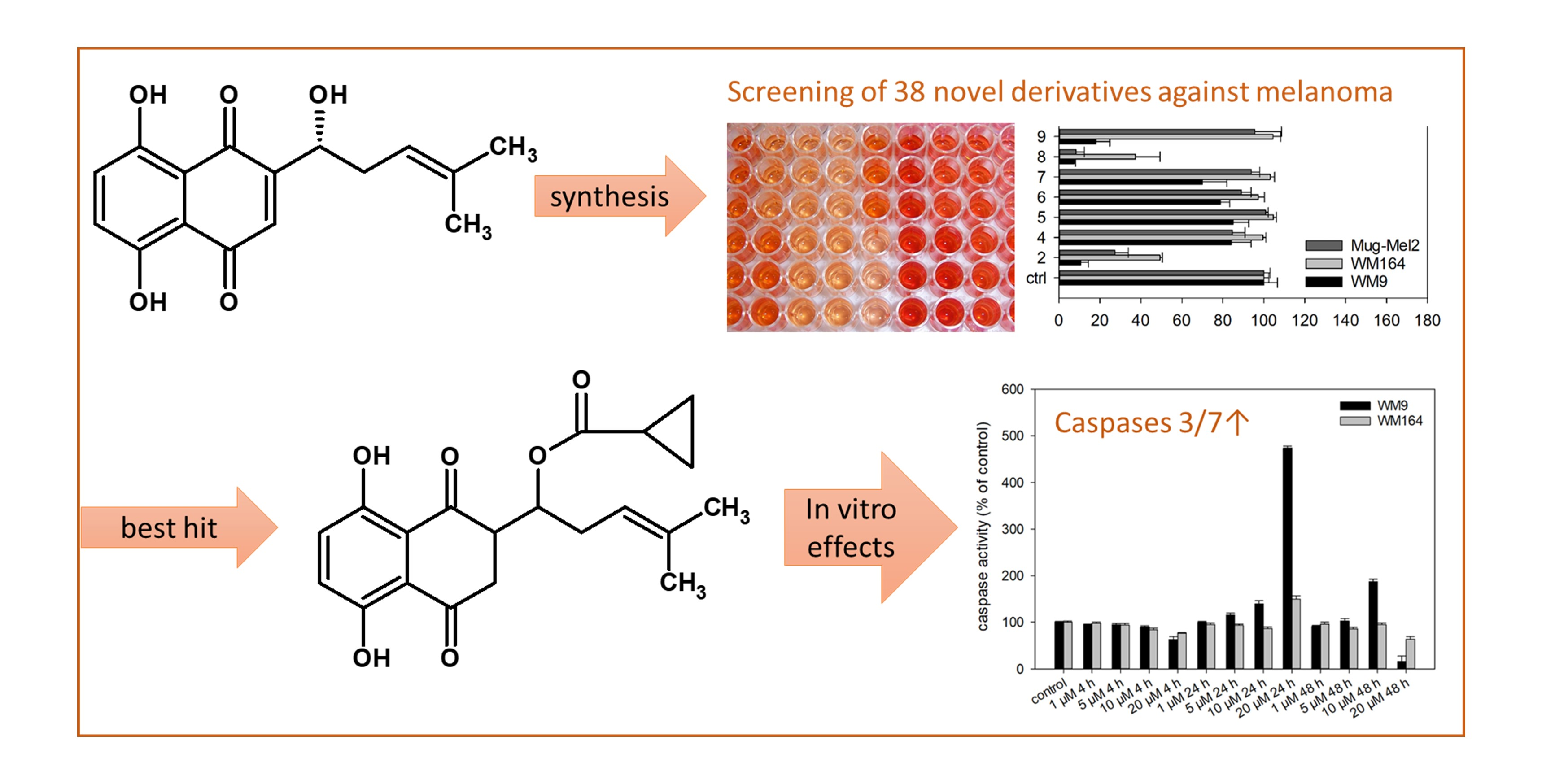 IJMS | Free Full-Text | Synthesis and Pharmacological In Vitro Investigations of Novel Shikonin ...
