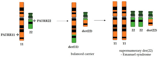 Palindromes in DNA—A Risk for Genome Stability and Implications in Cancer