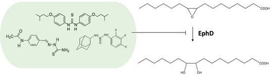 IJMS | Free Full-Text | Mycobacterial Epoxide Hydrolase EphD Is ...