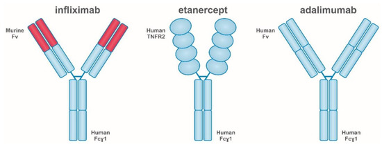 The Role of TNF-α and Anti-TNF-α Agents during Preconception, Pregnancy ...
