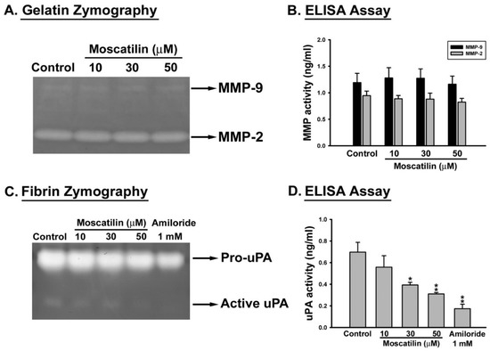 Moscatilin Inhibits Metastatic Behavior of Human Hepatocellular ...
