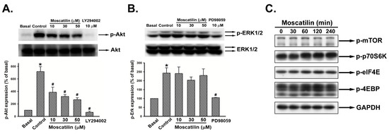 Moscatilin Inhibits Metastatic Behavior of Human Hepatocellular ...