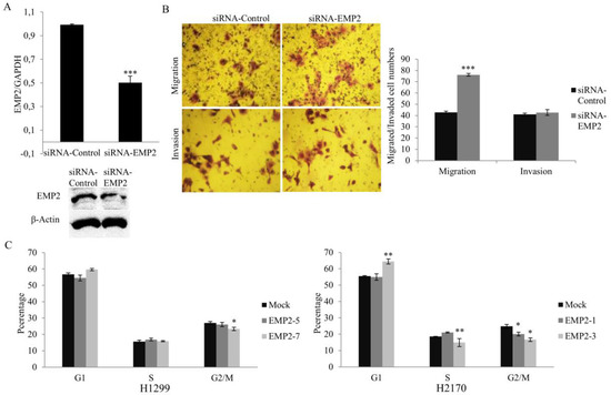 Epithelial Membrane Protein 2 Suppresses Non-Small Cell Lung Cancer ...