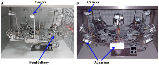 Gravitational Experimental Platform for Animal Models, a New Platform ...