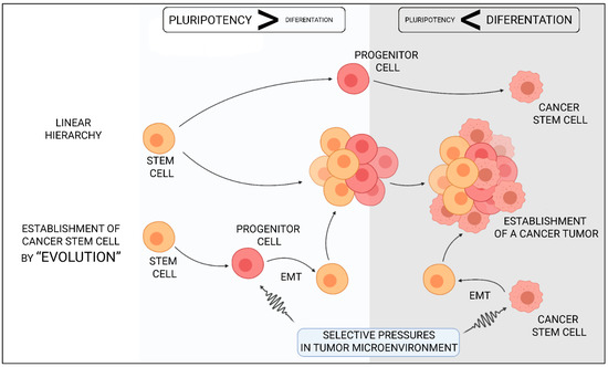Two Faces of Autophagy in the Struggle against Cancer