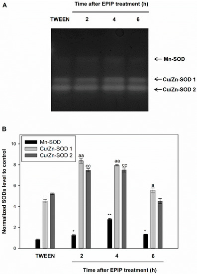 EPIP-Evoked Modifications of Redox, Lipid, and Pectin Homeostasis in ...