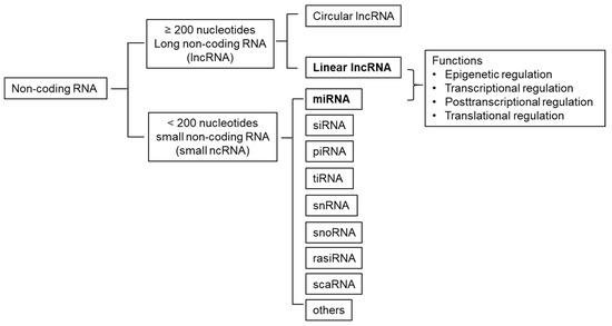Non-Coding RNAs in Hereditary Kidney Disorders