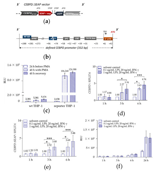 High-Throughput Screening for CEBPD-Modulating Compounds in THP-1 ...