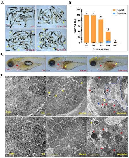 Characterization of Biological Pathways Regulating Acute Cold ...