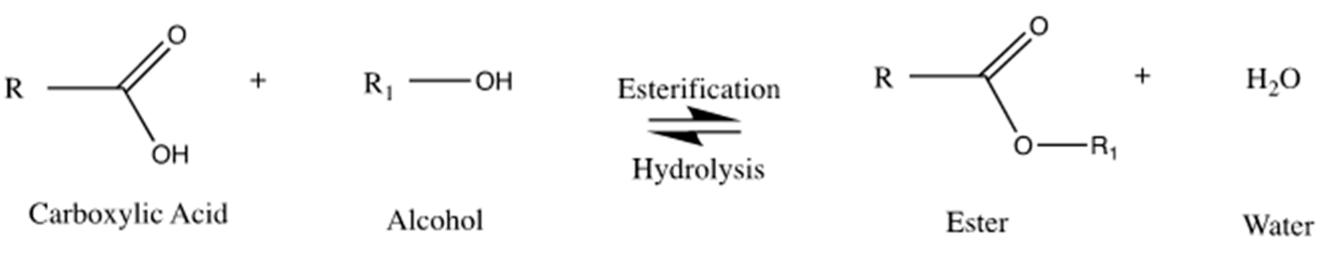 Biocatalytic Approach for Direct Esterification of Ibuprofen with ...