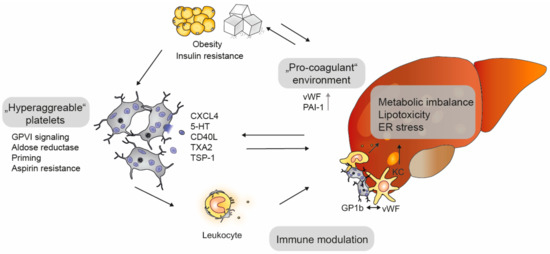 Till Death Do Us Part—The Multifaceted Role of Platelets in Liver Diseases