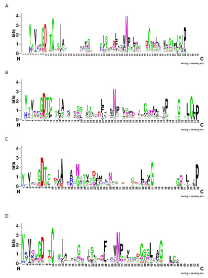 Putative LysM Effectors Contribute to Fungal Lifestyle