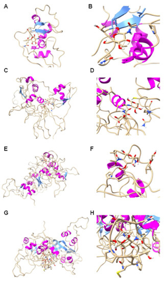 Putative LysM Effectors Contribute to Fungal Lifestyle