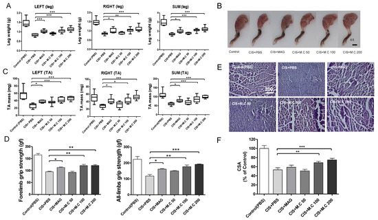 Magnoliae Cortex Alleviates Muscle Wasting by Modulating M2 Macrophages ...