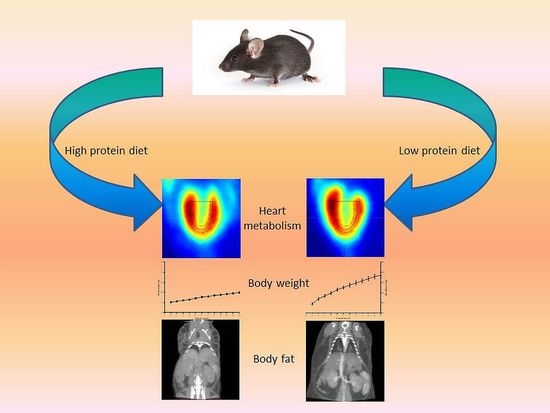 IJMS | Free Full-Text | PET/CT Imaging and Physiology of Mice on High ...