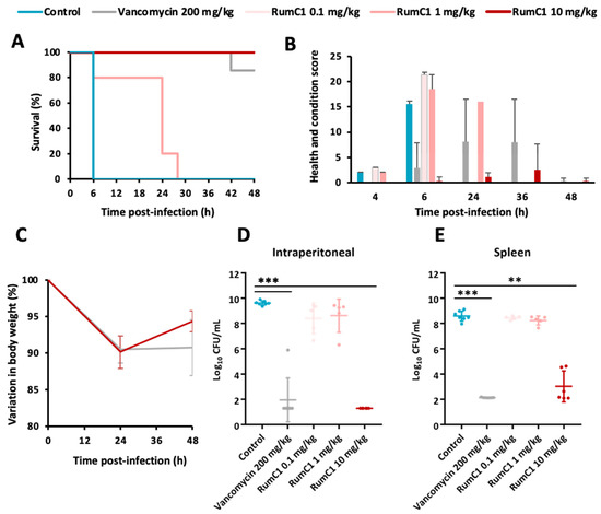 IJMS | Free Full-Text | The Multifunctional Sactipeptide Ruminococcin ...