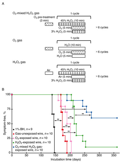 IJMS | Free Full-Text | Vaporized Hydrogen Peroxide and Ozone Gas ...