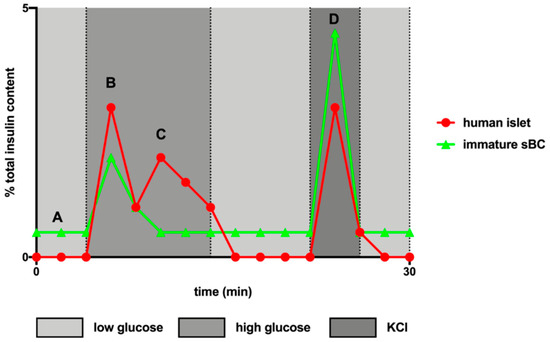 Islet Regeneration: Endogenous and Exogenous Approaches