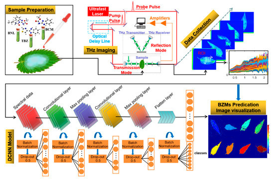 IJMS | Free Full-Text | Trace Identification and Visualization of ...