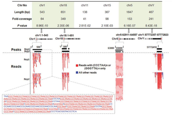 Ijms Free Full Text Emerging Molecular Connections Between Nm23