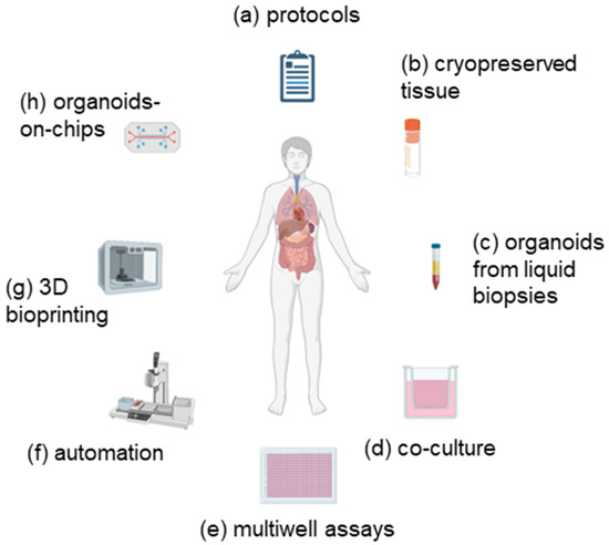 IJMS | Free Full-Text | Patient-Derived Organoids as a Model for Cancer ...