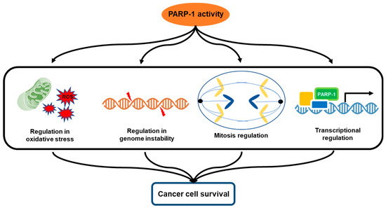 The Significance of Targeting Poly (ADP-Ribose) Polymerase-1 in Pancreatic Cancer for Providing ...