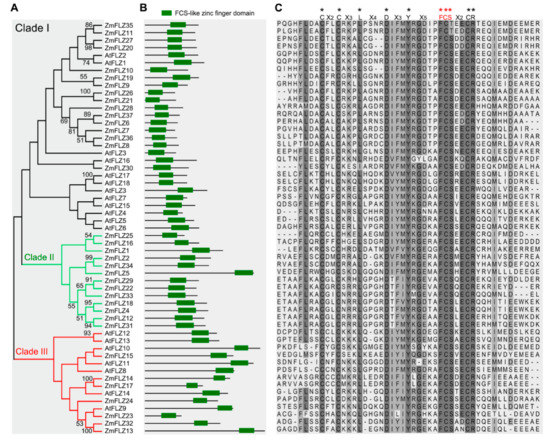 Genome-wide Identification and Characterization of FCS-Like Zinc Finger ...