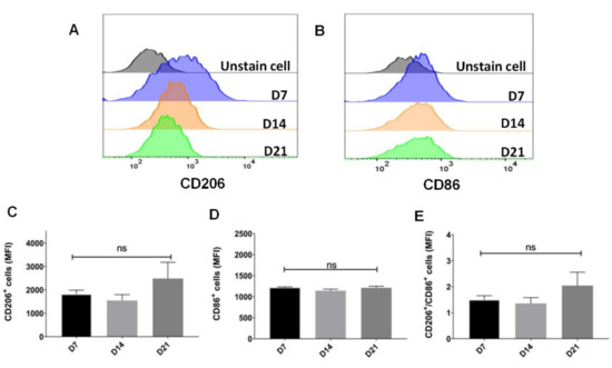 Withholding of M-CSF Supplement Reprograms Macrophages to M2-Like via ...