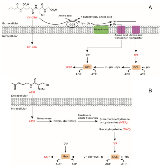 Intracellular Redox-Modulated Pathways as Targets for Effective ...