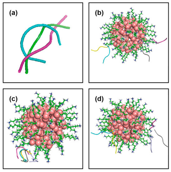 Molecular Dynamics Simulations of a Catalytic Multivalent Peptide ...