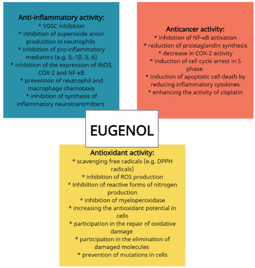 Biological Properties and Prospects for the Application of Eugenol—A Review
