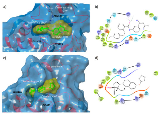In Silico Identification of Small Molecules as New Cdc25 Inhibitors ...
