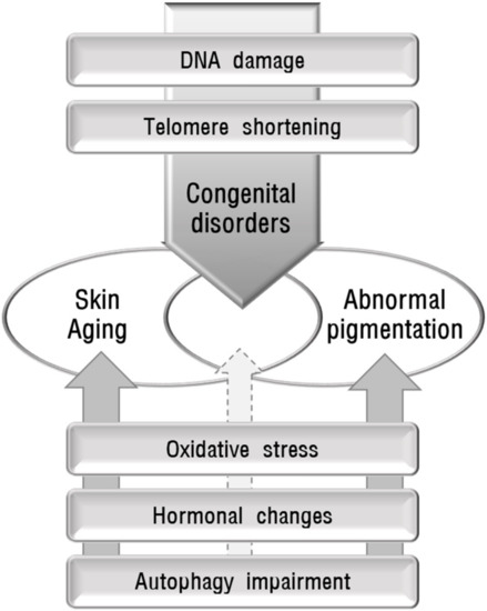 Skin Pigmentation Abnormalities and Their Possible Relationship with ...