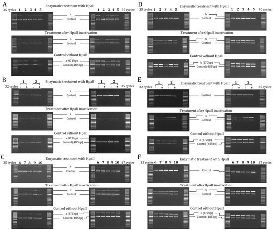 DNA Methylation Patterns Correlate with the Expression of SCNN1A ...