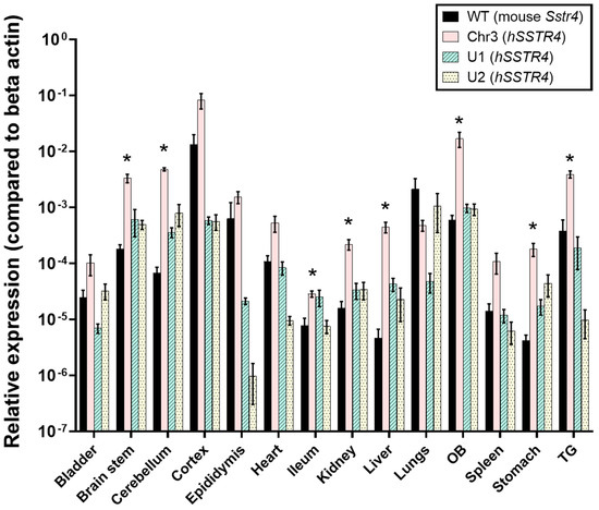 Human Somatostatin SST4 Receptor Transgenic Mice: Construction and ...