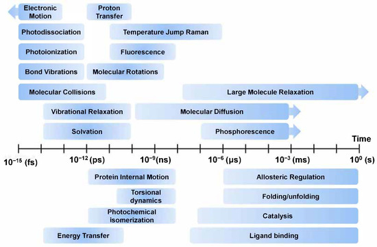 Molecular Dynamics—From Small Molecules to Macromolecules