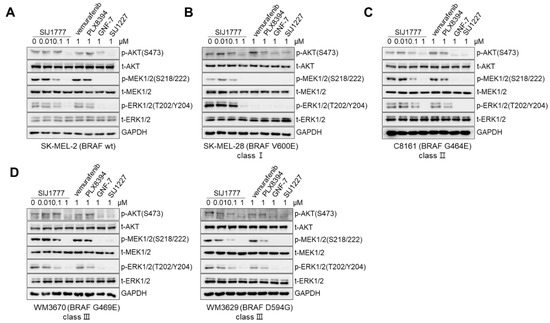 IJMS | Free Full-Text | Novel and Potent Small Molecules against ...