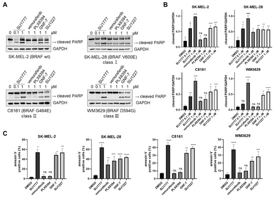 IJMS | Free Full-Text | Novel and Potent Small Molecules against ...