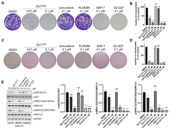 IJMS | Free Full-Text | Novel and Potent Small Molecules against ...