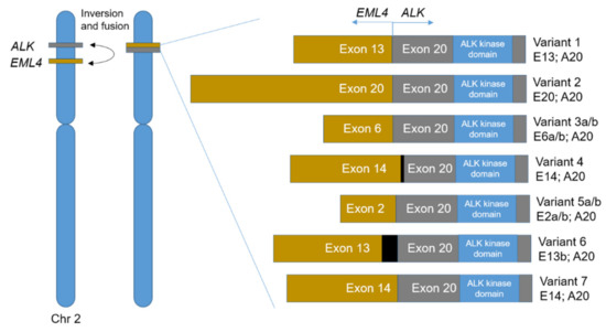 Future Perspectives in Detecting EGFR and ALK Gene Alterations in ...
