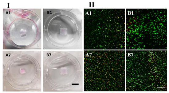 Bioprinting Via a Dual-Gel Bioink Based on Poly(Vinyl Alcohol) and Solubilized Extracellular ...