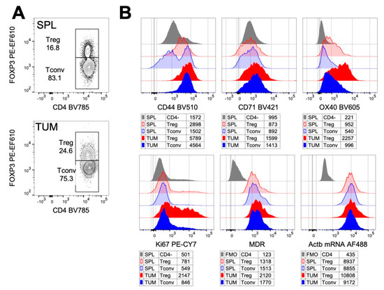 RNA Flow Cytometry for the Study of T Cell Metabolism