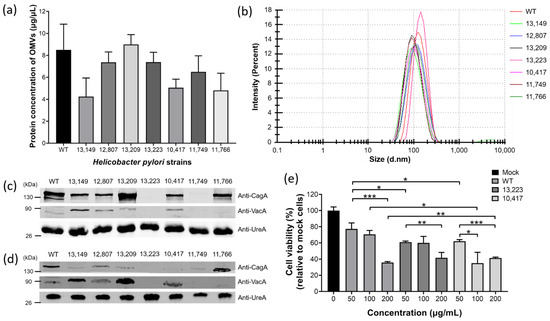 Outer Membrane Vesicle Production by Helicobacter pylori Represents an ...