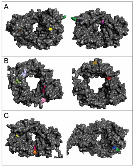 Monoclonal Antibody Aggregation Associated with Free Radical Induced ...
