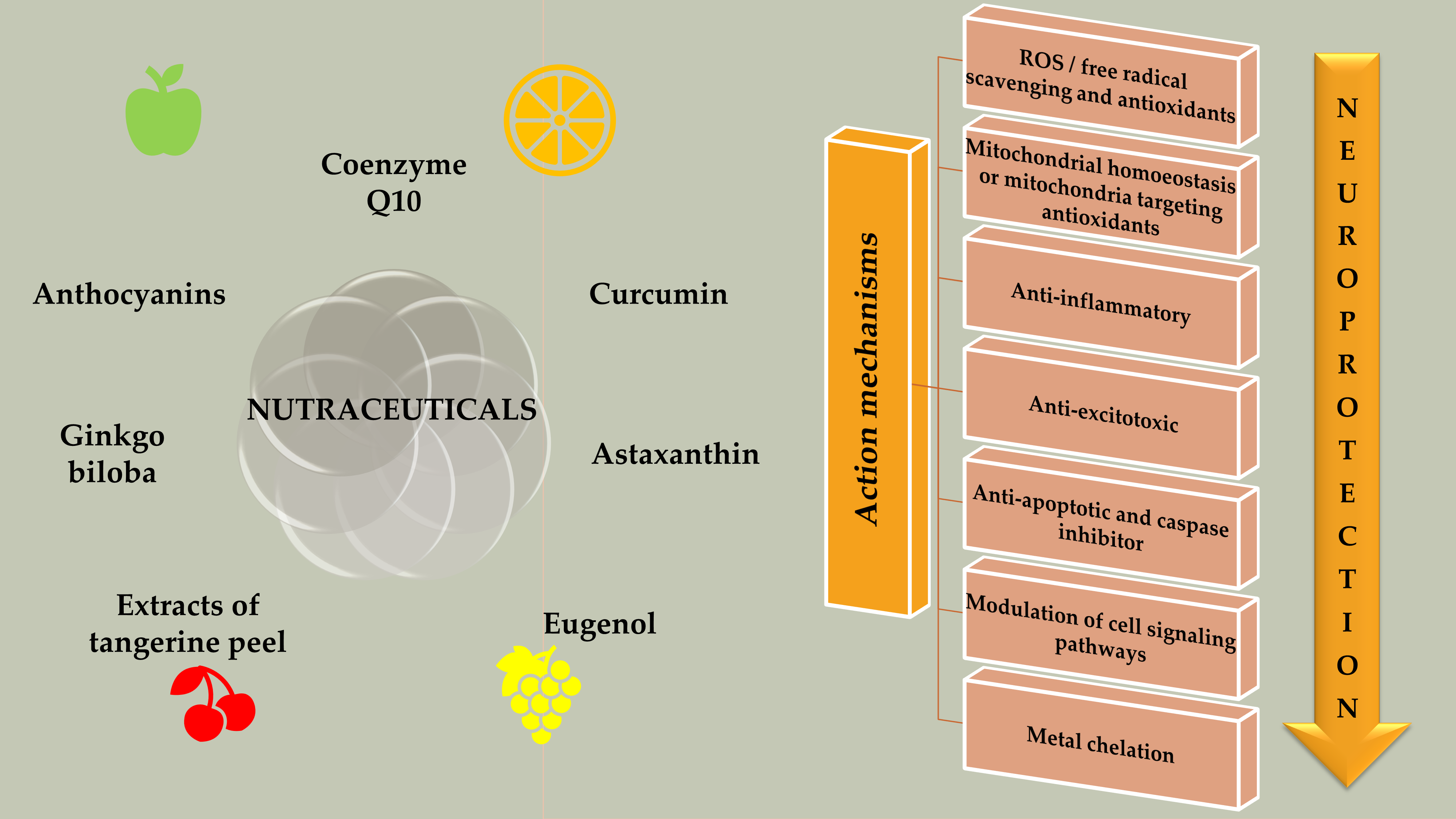 IJMS | Free Full-Text | Elucidating the Multi-Targeted Role of Nutraceuticals: A Complementary ...