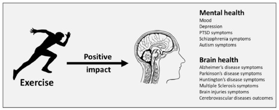 IJMS | Free Full-Text | Molecular Mechanisms Underlying the Beneficial ...