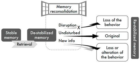 Targeting the Reconsolidation of Licit Drug Memories to Prevent Relapse ...