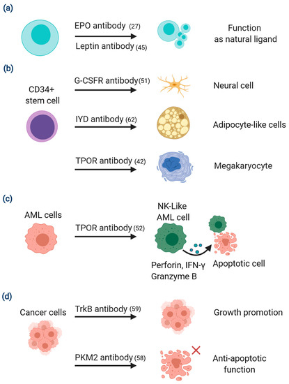 Antibody Libraries as Tools to Discover Functional Antibodies and ...